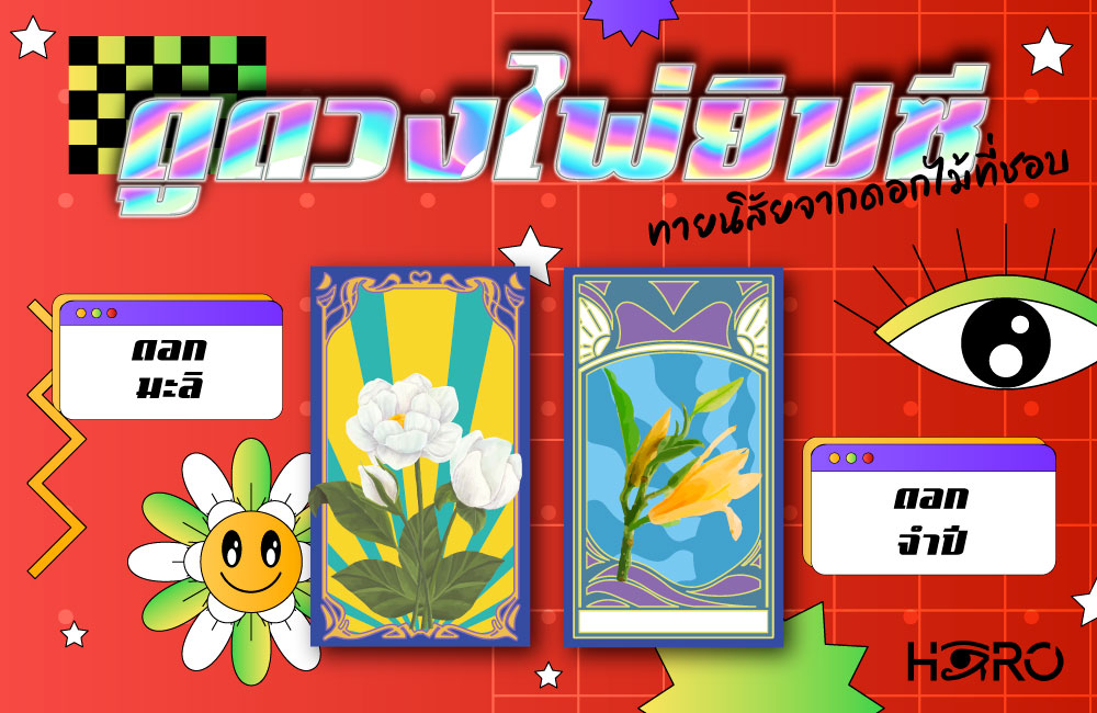 ดูดวงไพ่ยิปซี 22-8-66 ดอกไม้เป็นสัญลักษณ์แทนความรู้สึกให้กับคนพิเศษ